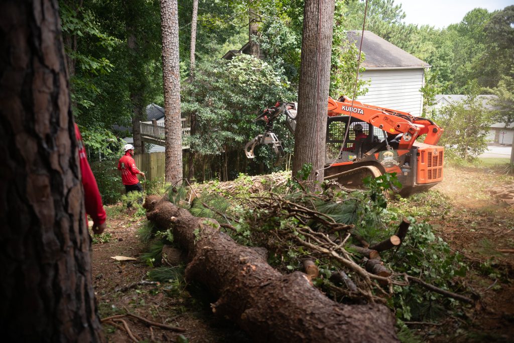 Emergency Tree Removal Acworth GA | 24/7 Expert Tree Services